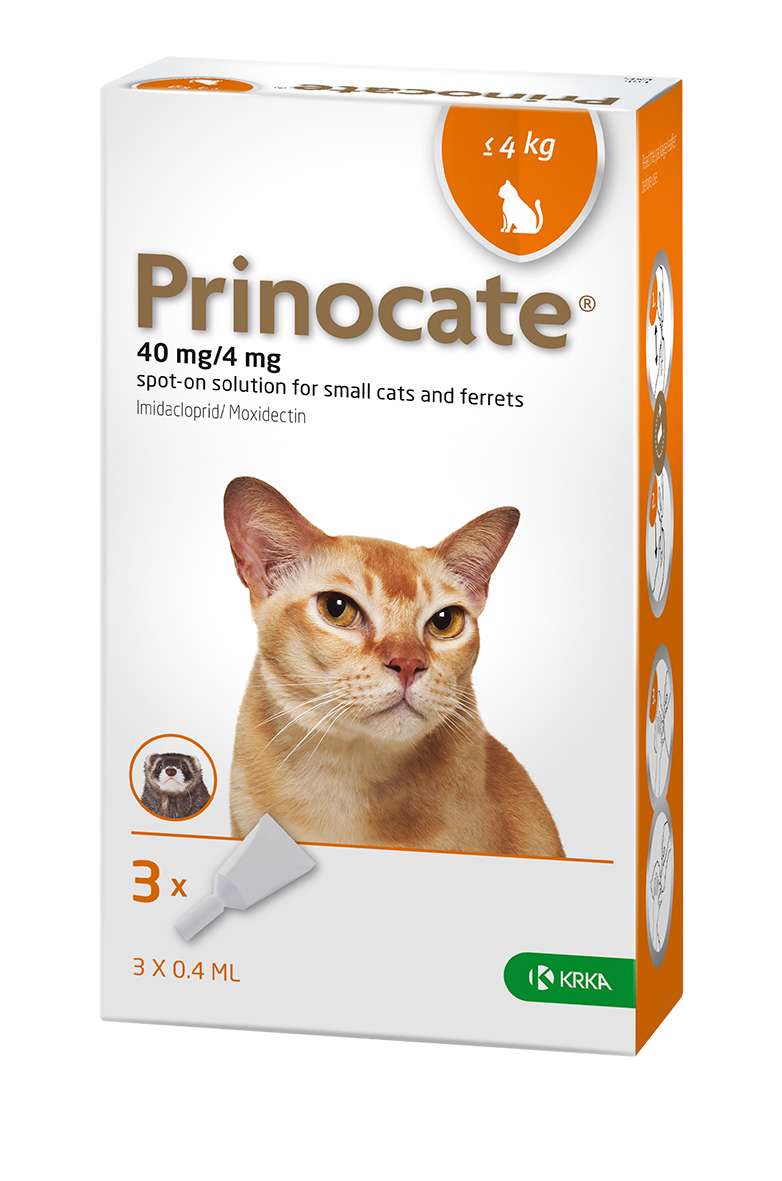 Принокат 40 mg/4 mg, раствор за накапување за локална употреба за мали ...