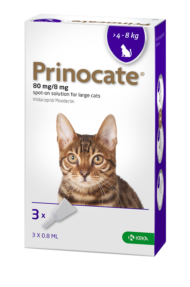 Принокат 80 mg/8 mg, раствор за накапување за локална употреба за ...