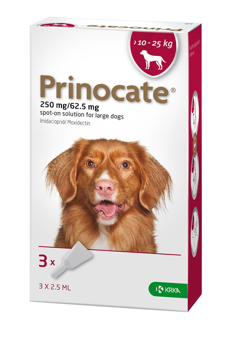 Принокат 250 mg/62,5 mg, раствор за накапување за локална употреба за ...