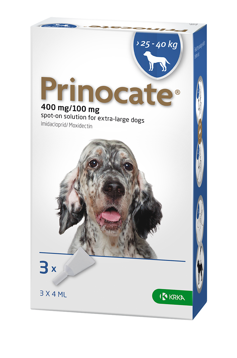 Принокат 400 mg/100 mg, раствор за накапување за локална употреба за ...